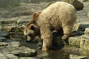 Tierpark Gotha | Mamilade Ausflugsziele